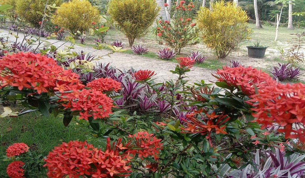 Rooms – Save Green Resort